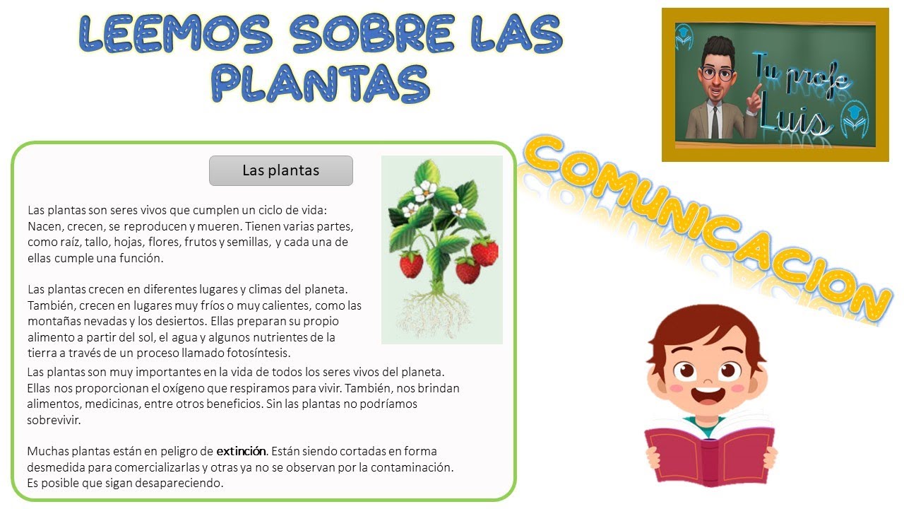 Sesión: Leemos sobre las plantas - Primer Grado - YouTube