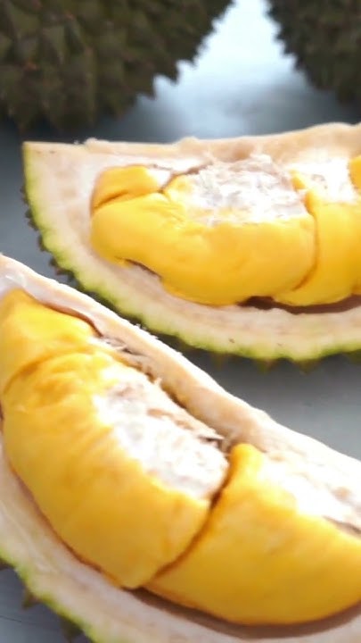 why is durian fruit banned? - YouTube