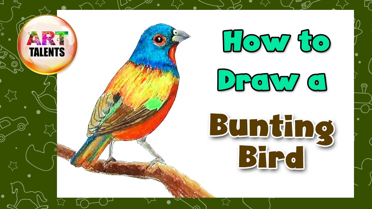 How to Draw a Bunting bird - YouTube