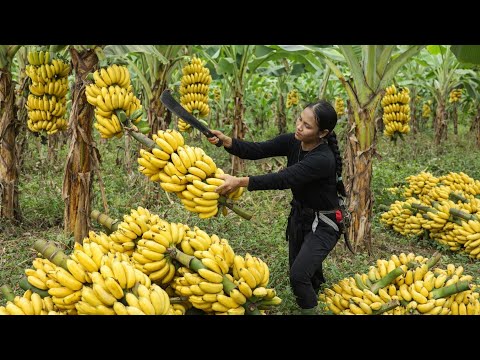 A day of bountiful harvest for a single mother...