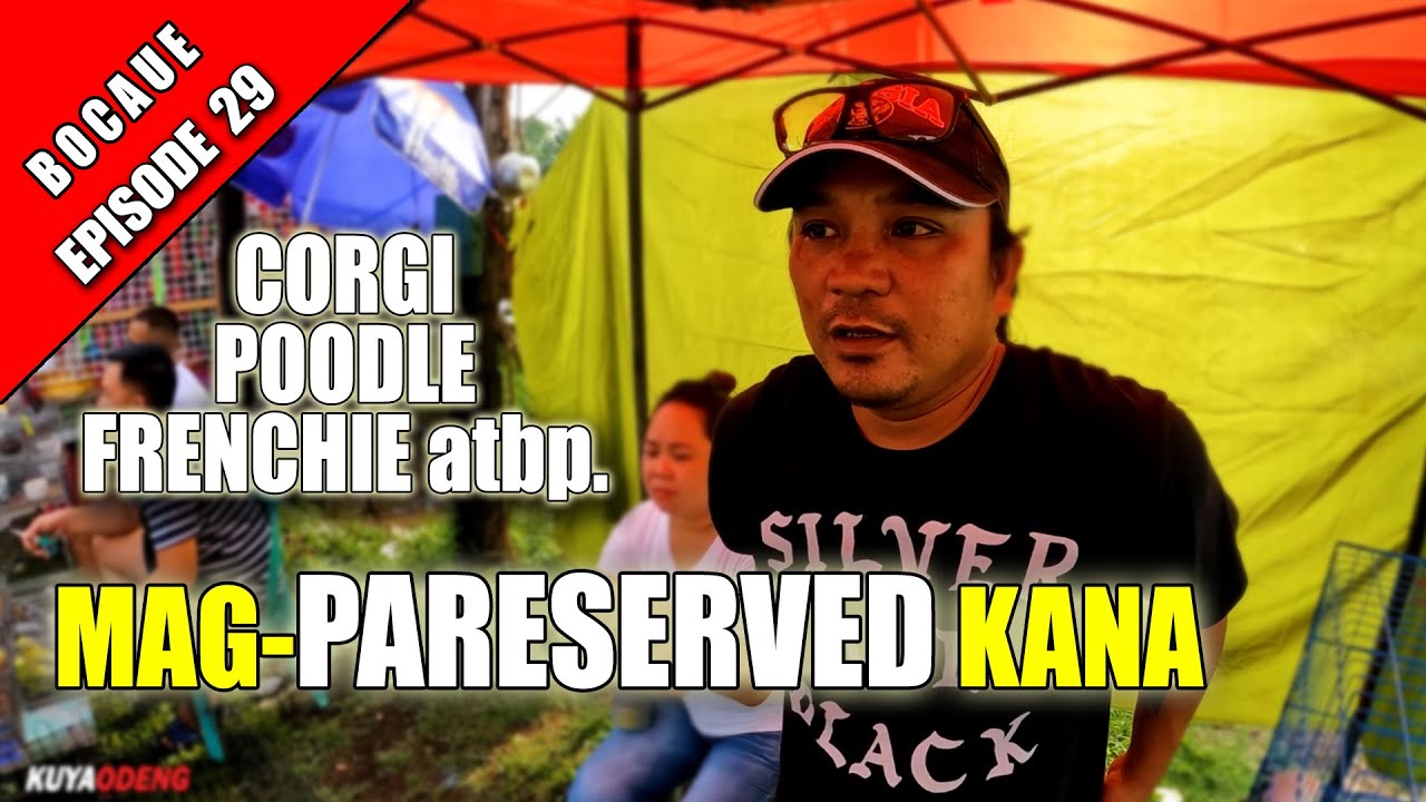 PINAKA MURANG PET NA ILALABAS NI KUYA JERWIN SA MARKET ABANGAN - YouTube