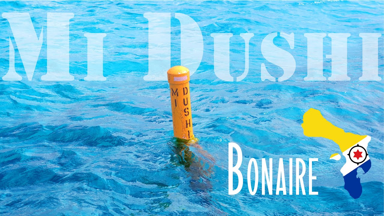 Diving Mi Dushi on Klein Bonaire - YouTube