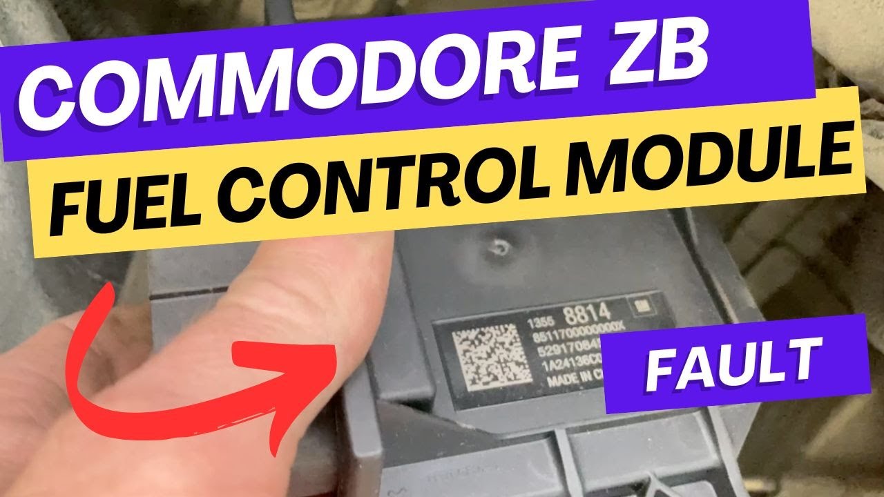 Holden commodore fuel pump driver control module fault (causing flat ...