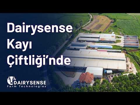 Türkiye'nin ilk yerli Sürü Yönetim Sistemi Dairysense Kayı Çiftliği'nde!