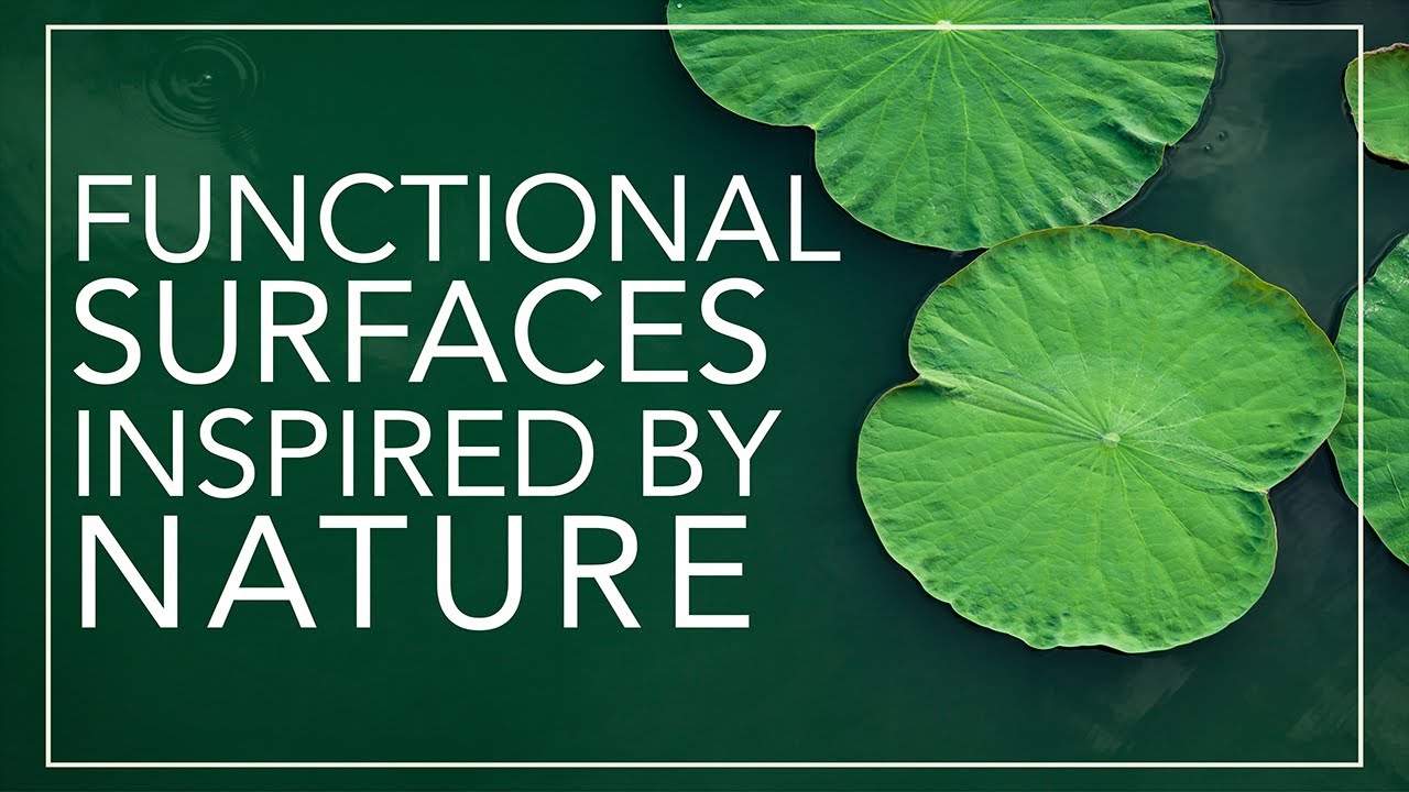Better Surfaces Through Nature (and Lasers!): Using Nano Textures to ...