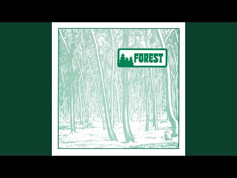Forest - Forest | Releases | Discogs