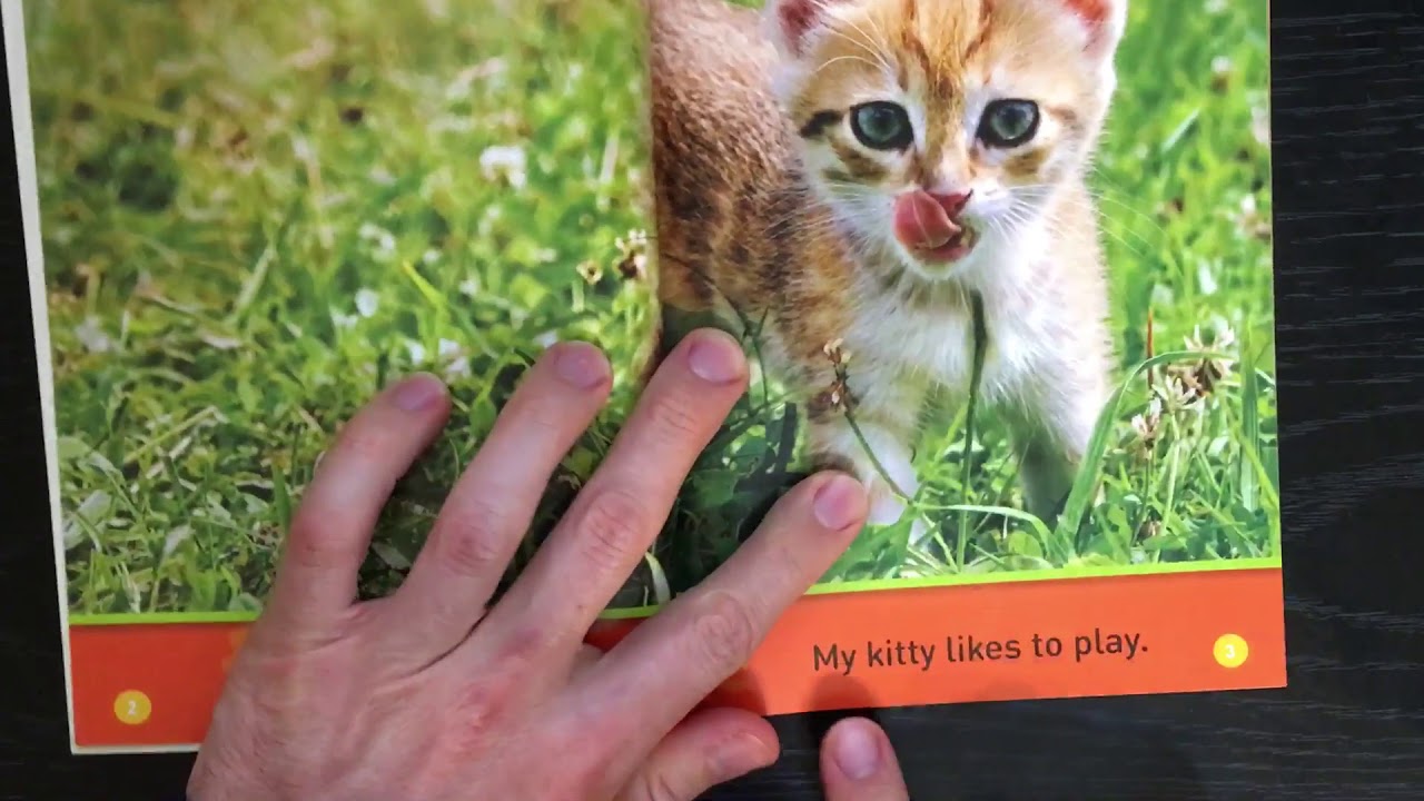 Play Kitty - YouTube