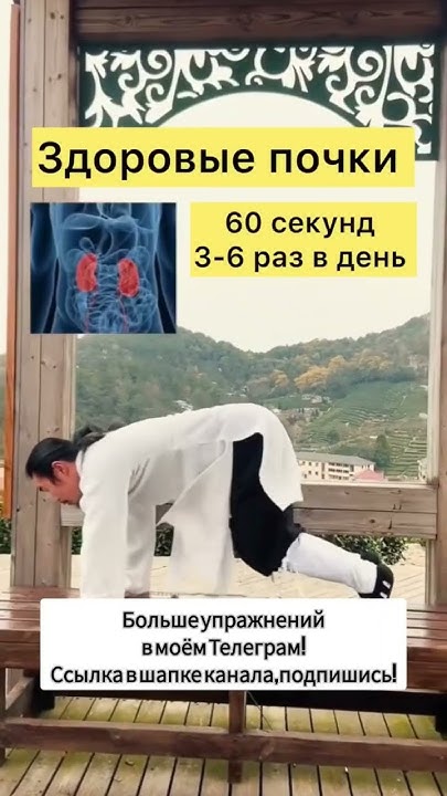 Здоровые почки и позвоночник 👍 #упражнения - YouTube
