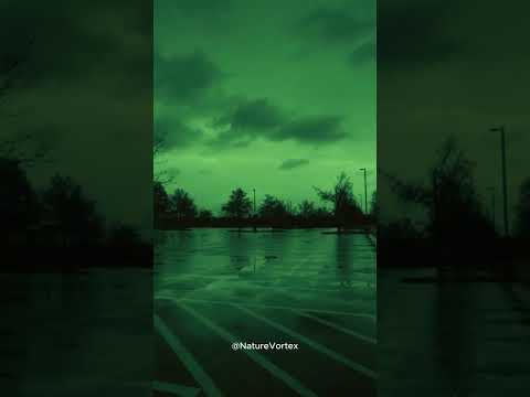 Forest Escape 🌲🍂\