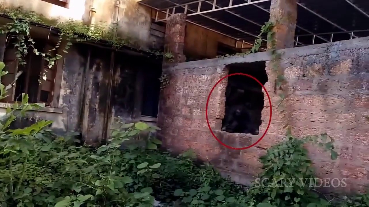 Mythical Creature Caught On Camera Ghost Caught On Tap Real - YouTube