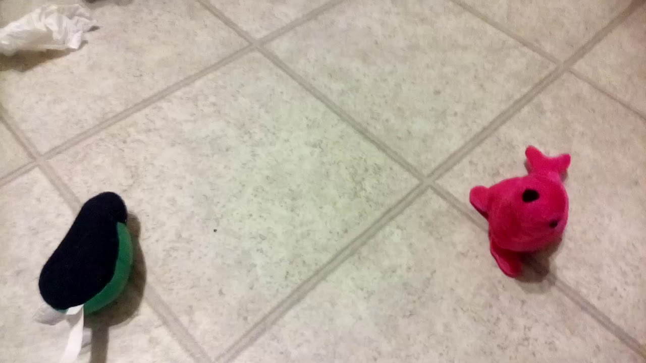 Disney Pixar Fly - YouTube