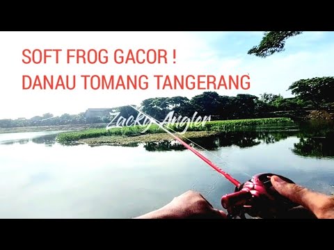 Soft Frog BEBEK BESAR 21 Lure | Spot Casting Gabus Danau Tomang ...