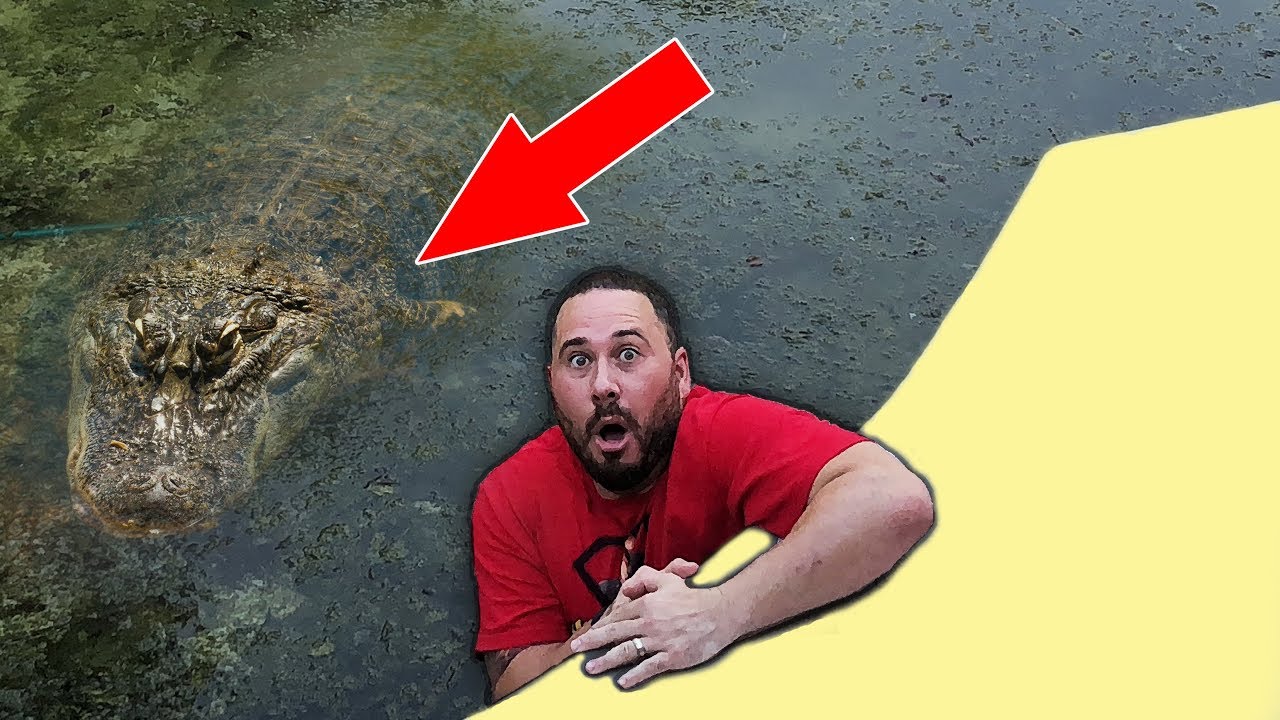 Real Monster Living In My Pool (Not Clickbait) - YouTube