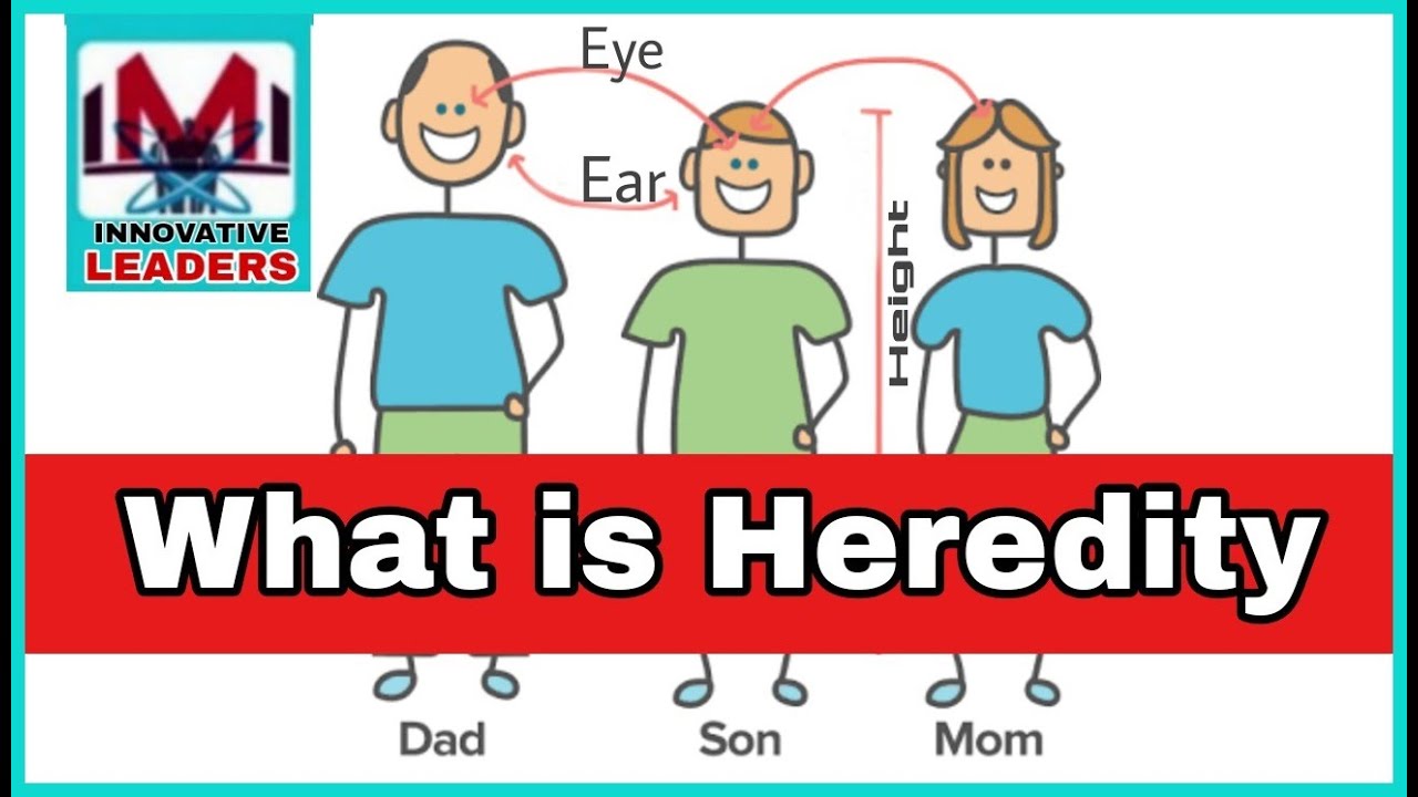 Heredity | Introduction to Heredity | Urdu | Hindi | Innovative Leaders ...