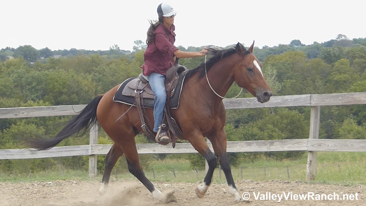King - riding bridleless! - ValleyViewRanch.net - YouTube