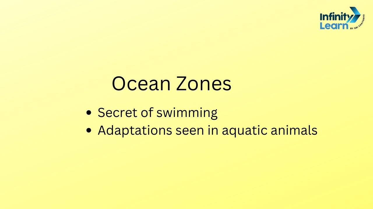 ocean zone : secret of swimming || Adaptations seen in aquatic animals ...