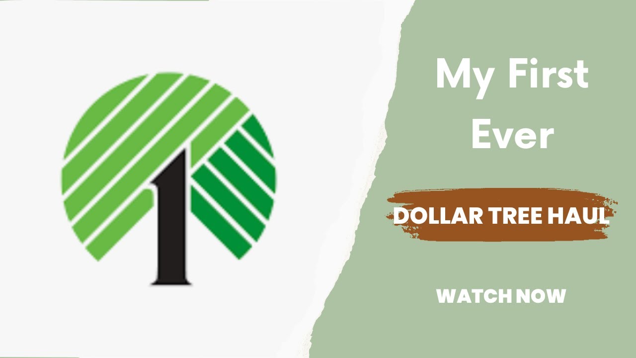 My First Ever Dollar Tree Haul! - YouTube