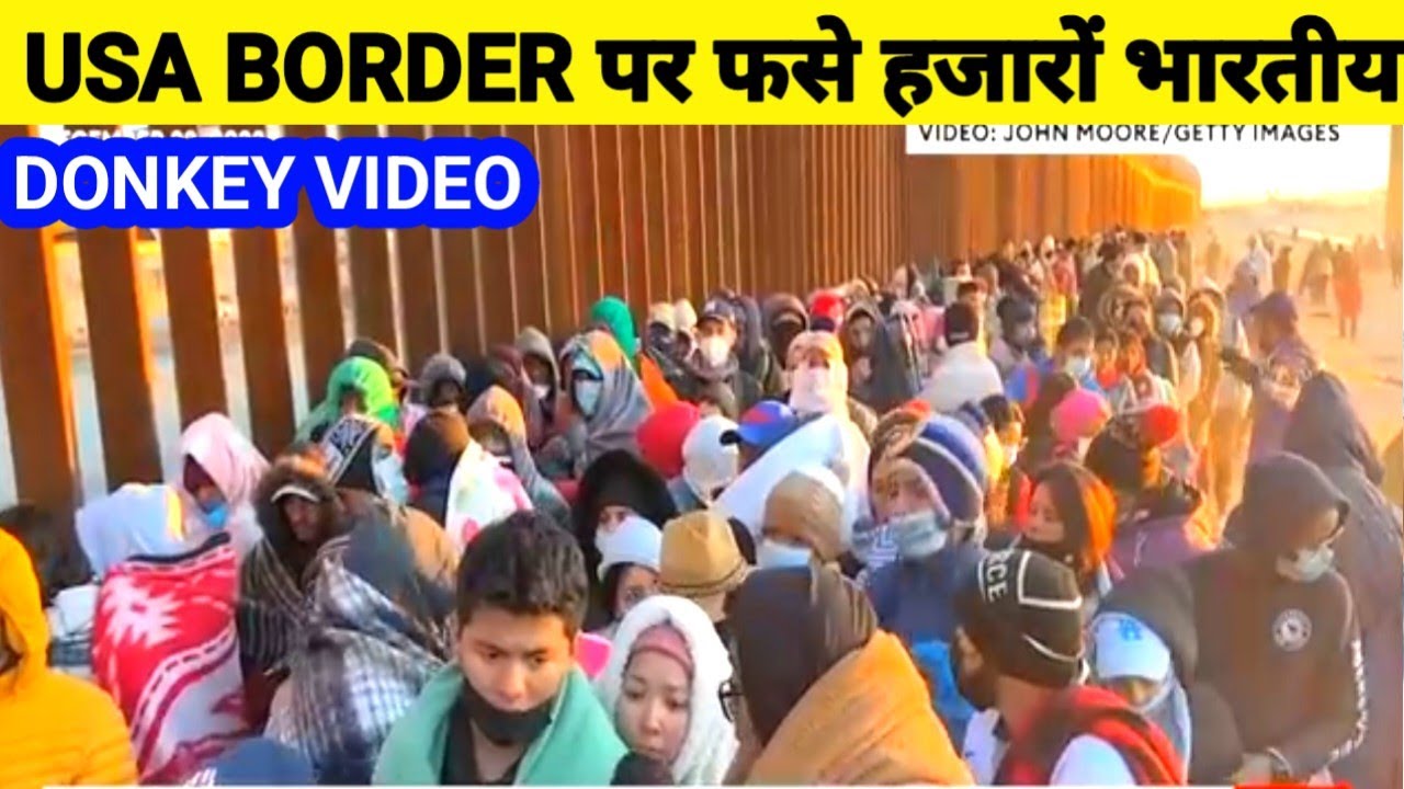 Maxico to Usa Texas Border Donkey News | Usa Donkey - YouTube