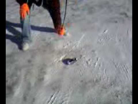 Exploding pepsi can - YouTube