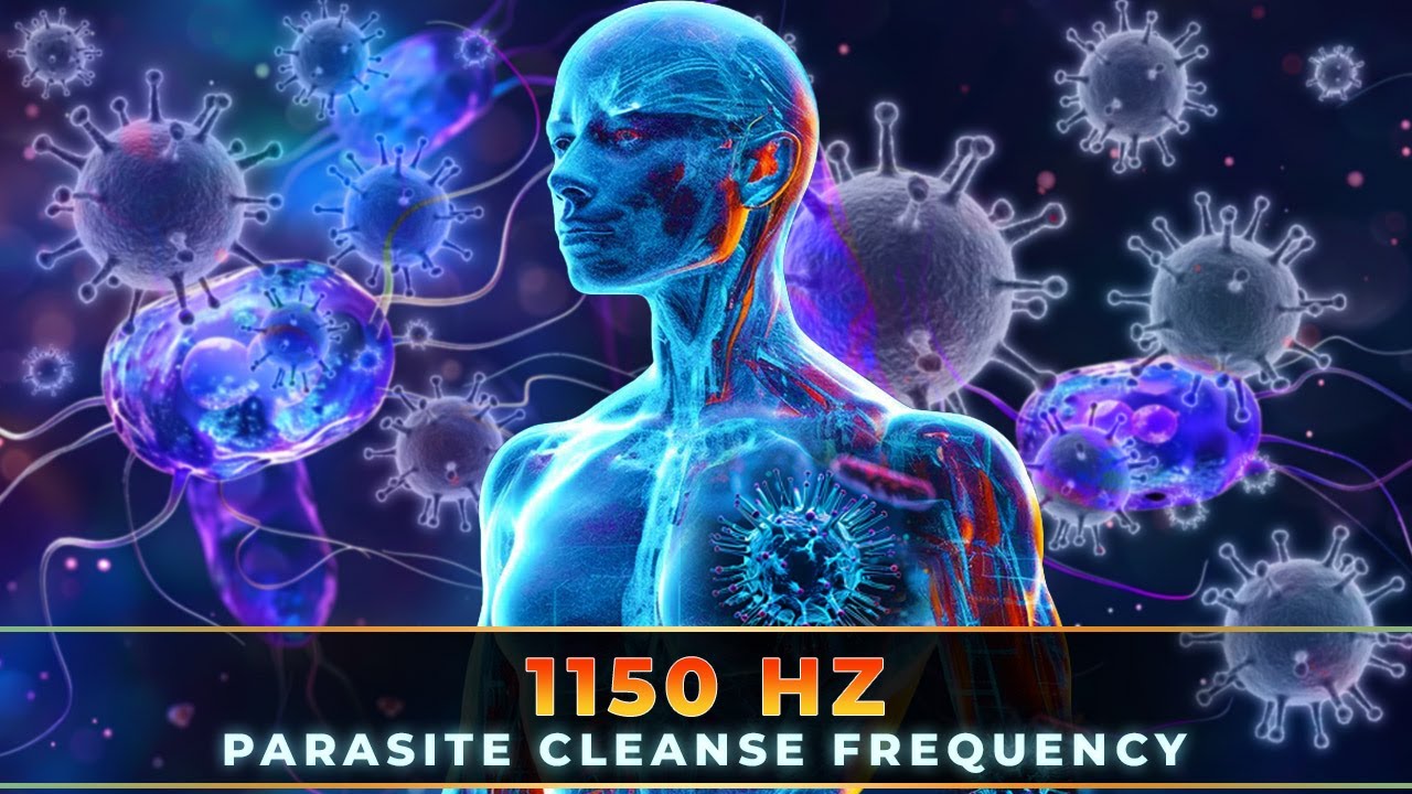 1150 Hz Parasite Cleanse Rife Healing Frequency | Binaural Beats to ...