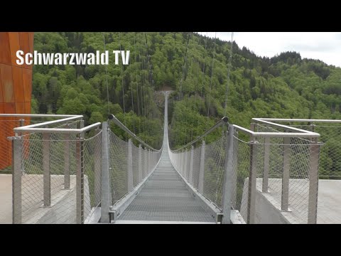 🚨🚁 Blackforestline: Spektakuläre Hängebrücke Todtnauberg - 120 Meter ...