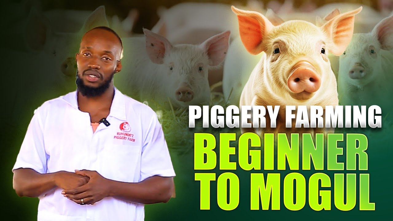 Piggery Farming for Profit in Africa: From Beginner to Business Mogul ...