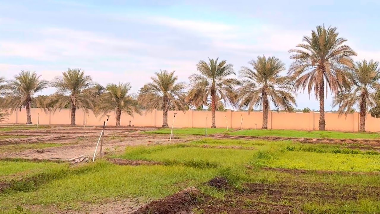 A Beautiful Farm Tour in Muscat : Oman's Hidden Gem l Salar_700 - YouTube