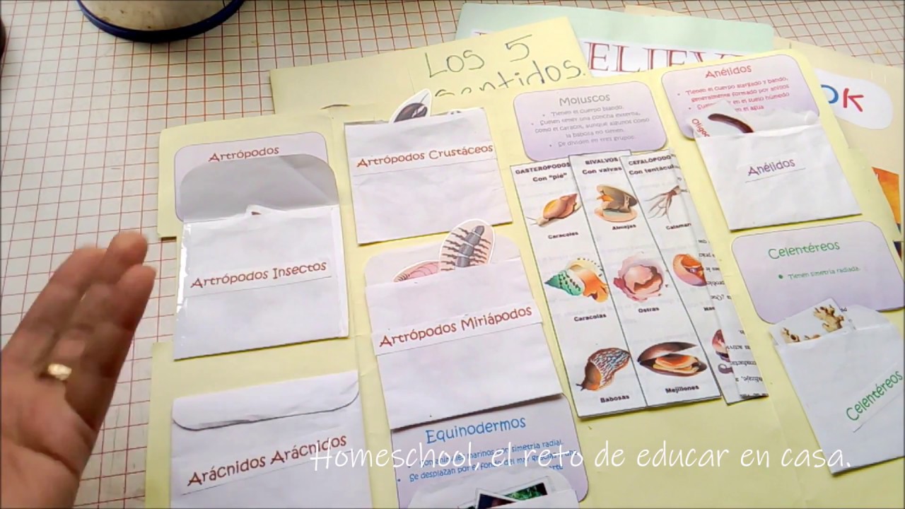 Lapbooks - YouTube
