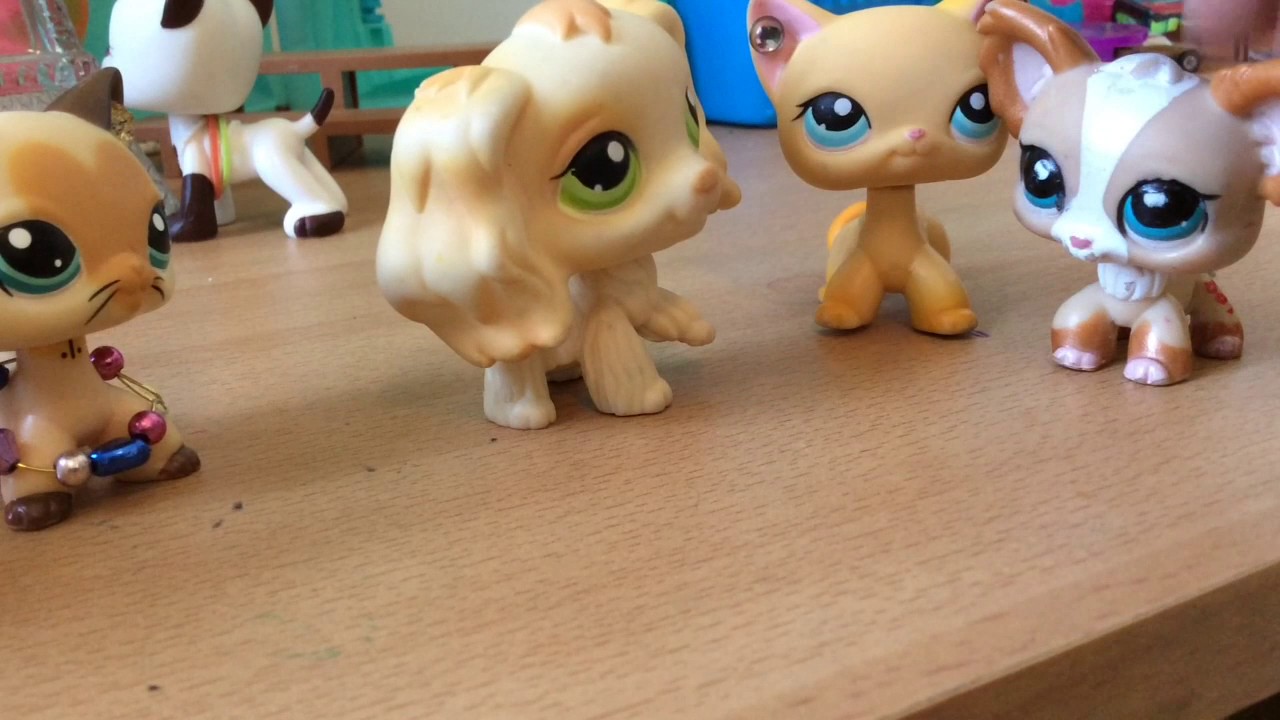 Lps Popular 29 Prediction - YouTube