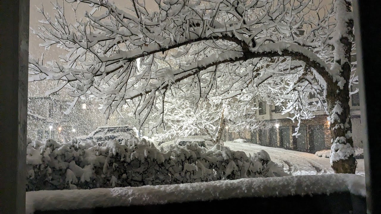 Snow time lapse from overnight. The news says we got 19.5 inches so far ...
