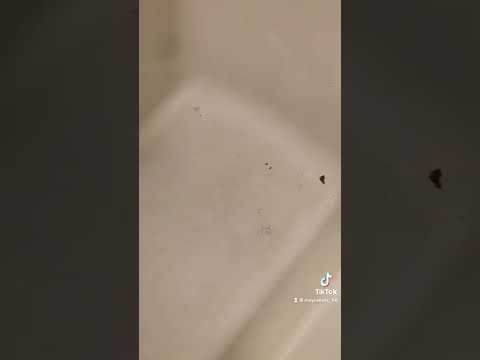 Clean Bathroom