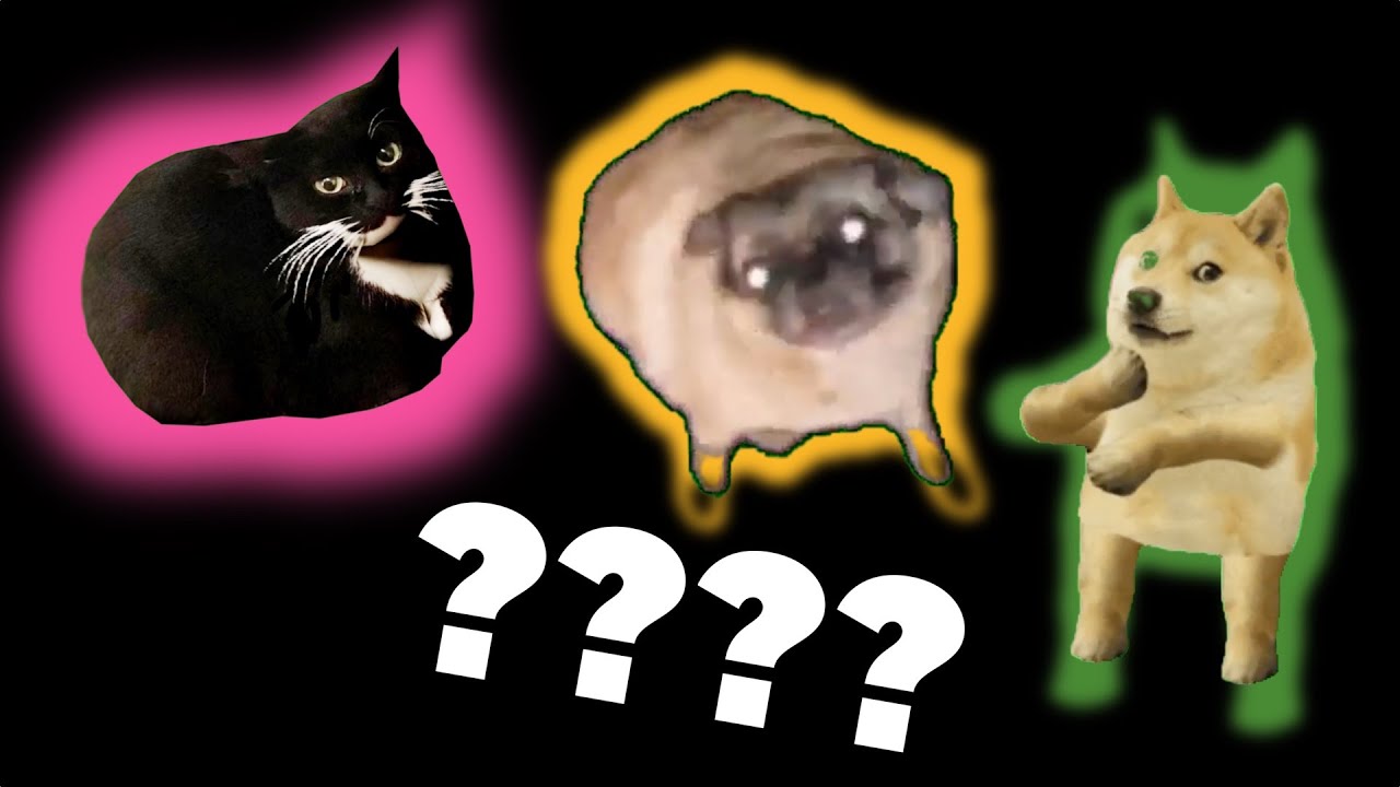 7 "Maxwell The Cat and Pug and Doge Dancing" Sound Variations in 53 ...