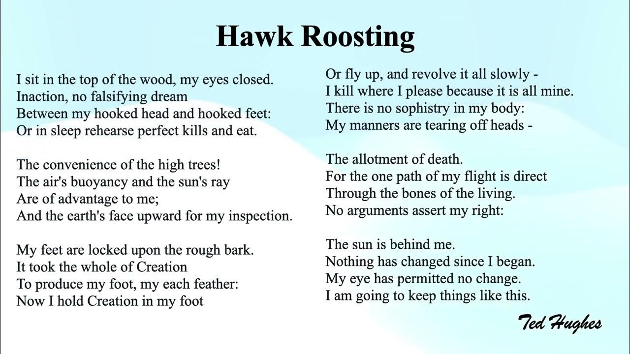 Ted Hughes' "Hawk Roosting" (Summary) - YouTube