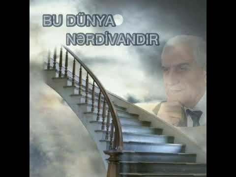 Nəriman Həsənzadə bu dünya nərdivandır/Elvin Elxanoğlu