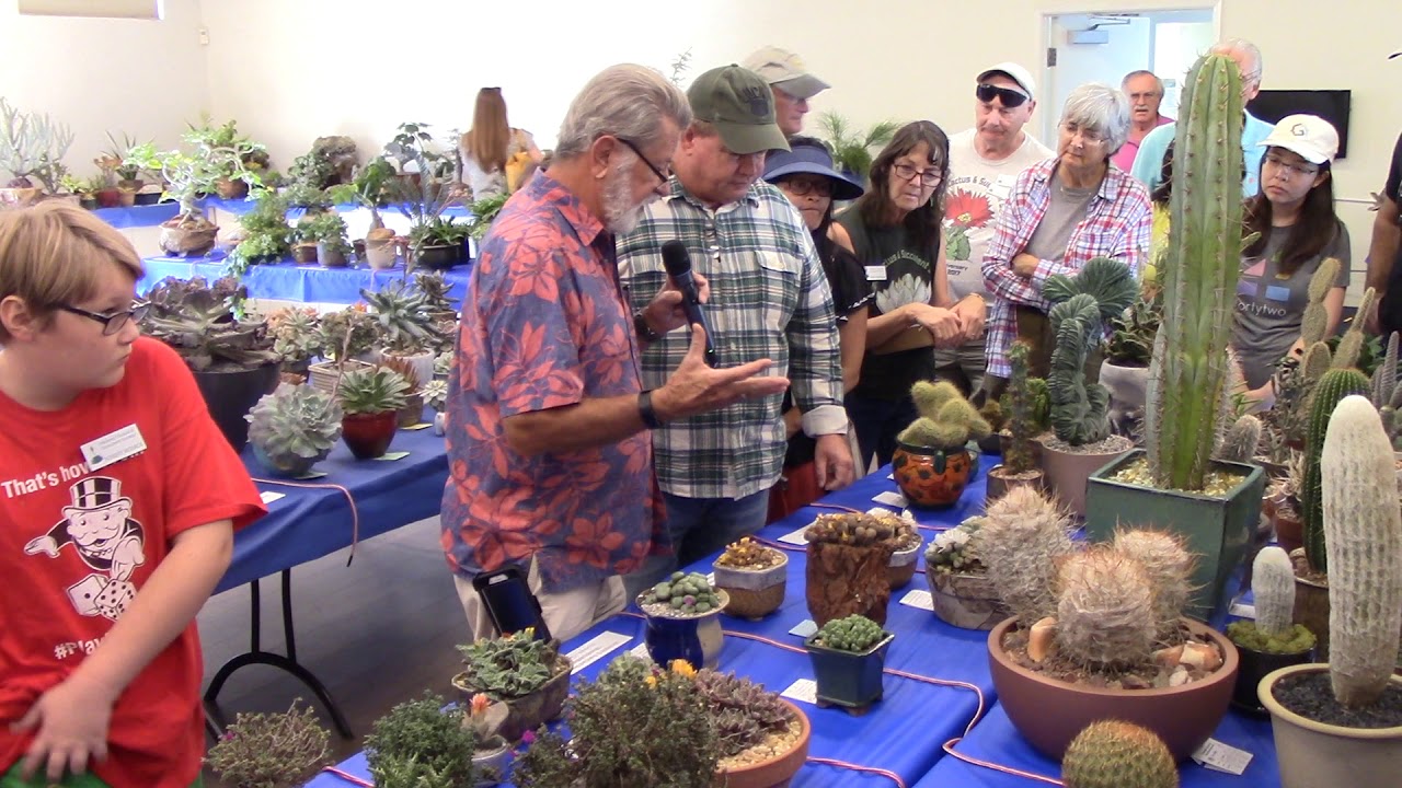 Judging a cactus & succulent show - YouTube