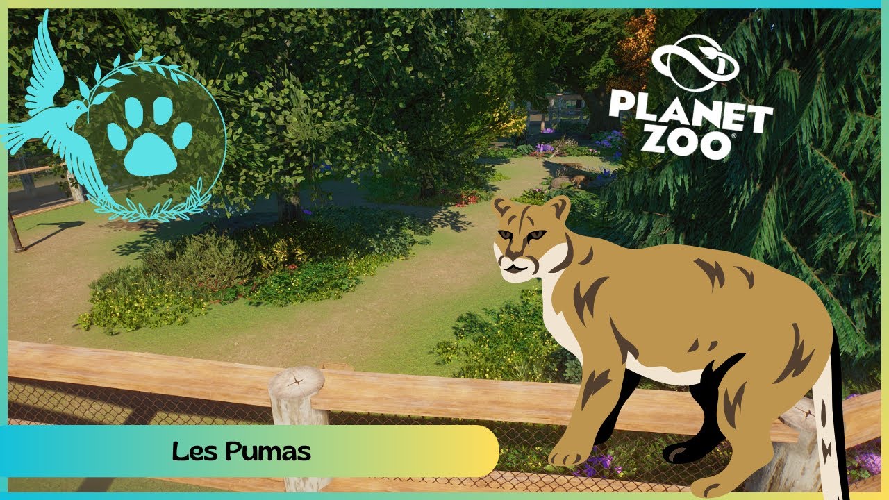 Planet Zoo SpeedBuild - BoParc #21 La forêt des Pumas - YouTube