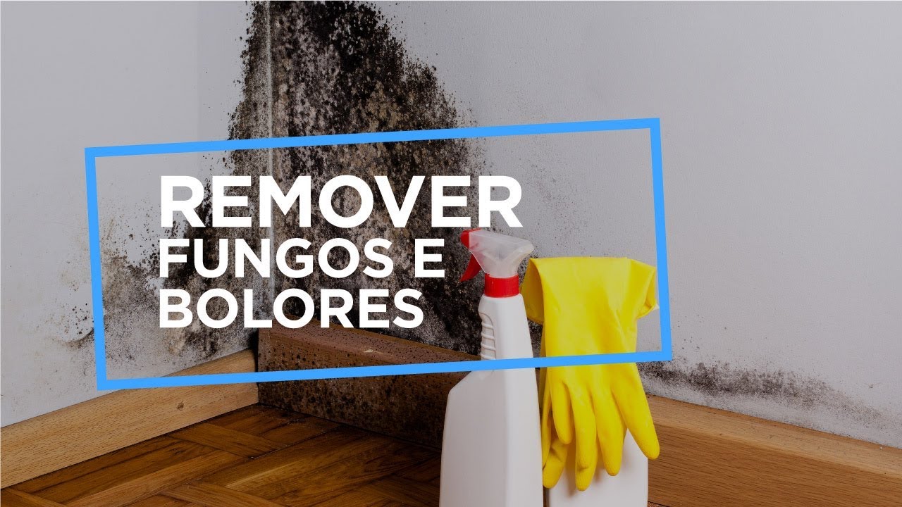 COMO REMOVER FUNGOS E BOLORES EM UM PASSO A PASSO. - YouTube