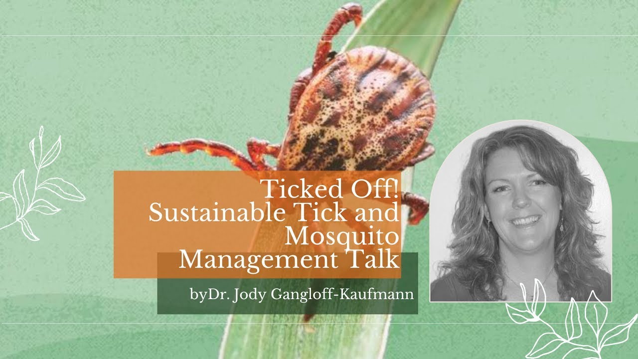 Ticked Off! Sustainable Tick and Mosquito Management Talk - YouTube