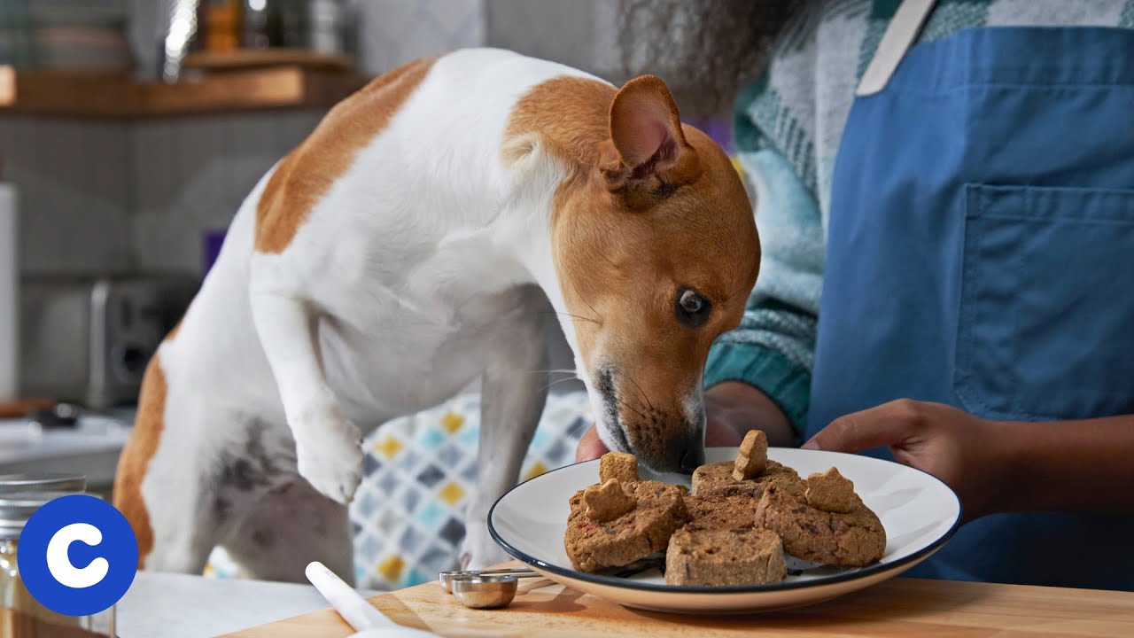 DIY Holiday Gingerbread Icebox Cookies For Dogs | Chewy Eats - YouTube
