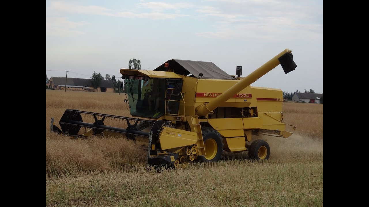 Żniwa 2015 - Rzepak -New Holland TX34 * Kujawy - YouTube
