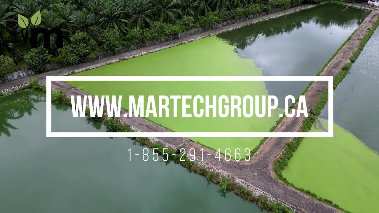 Martech Group Insitu Remediation Services. - YouTube