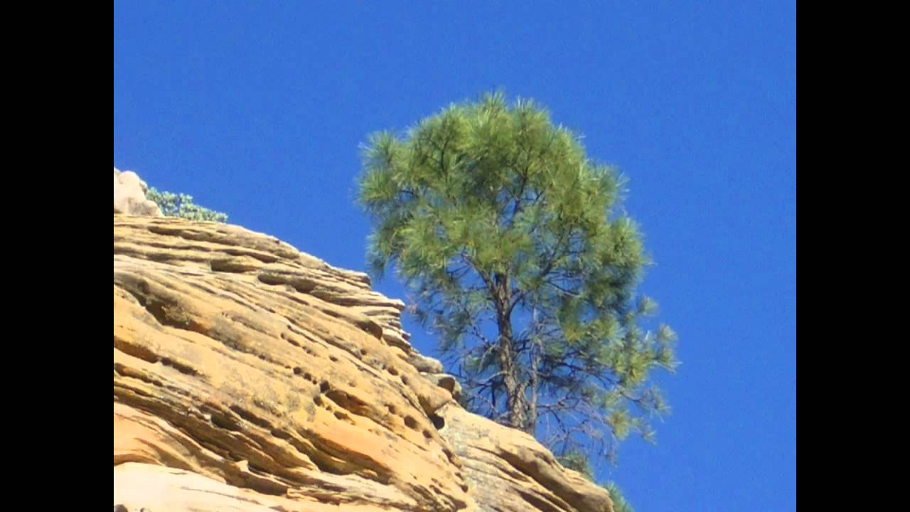 Jon Peniel on Jeff Rense Part II - YouTube