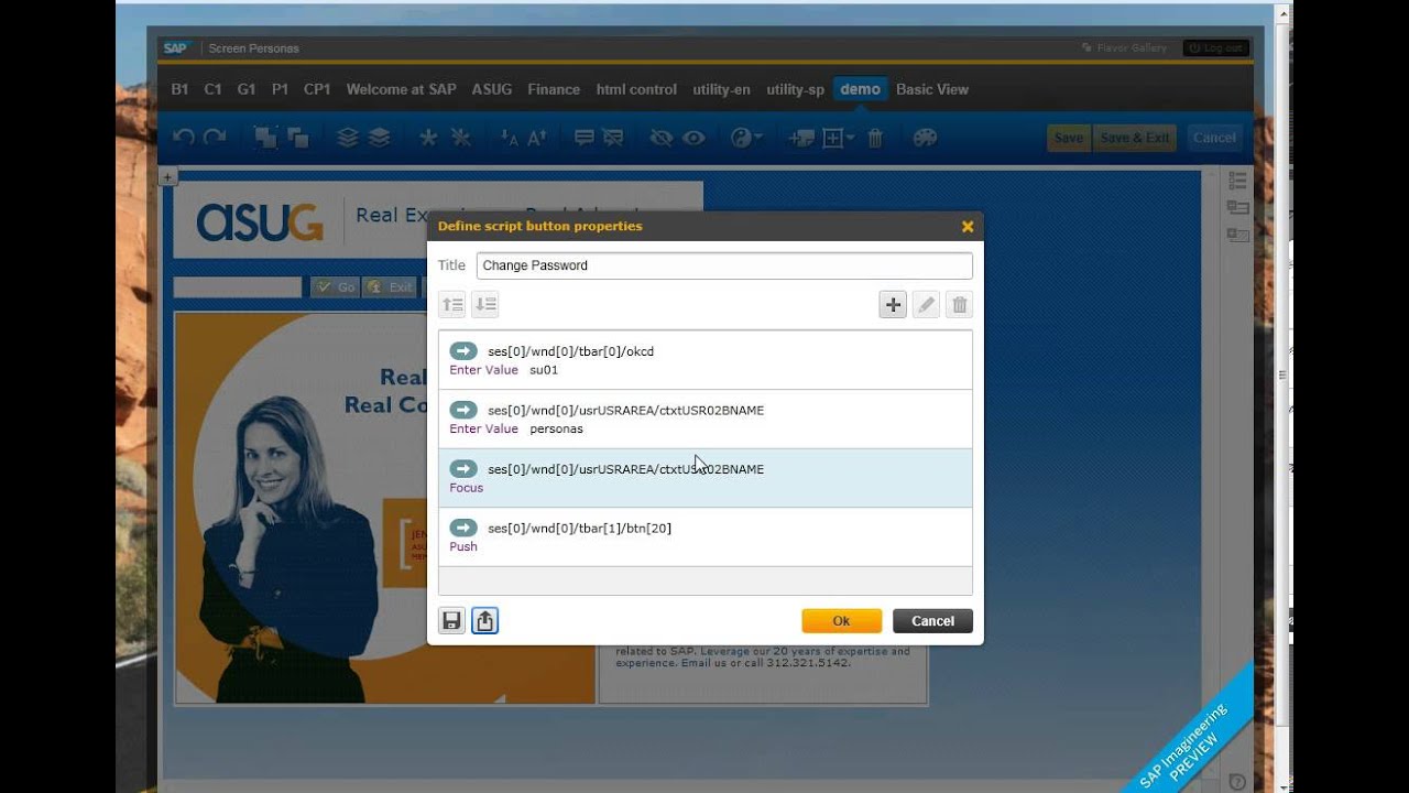 SAP Screen Personas simple script - YouTube