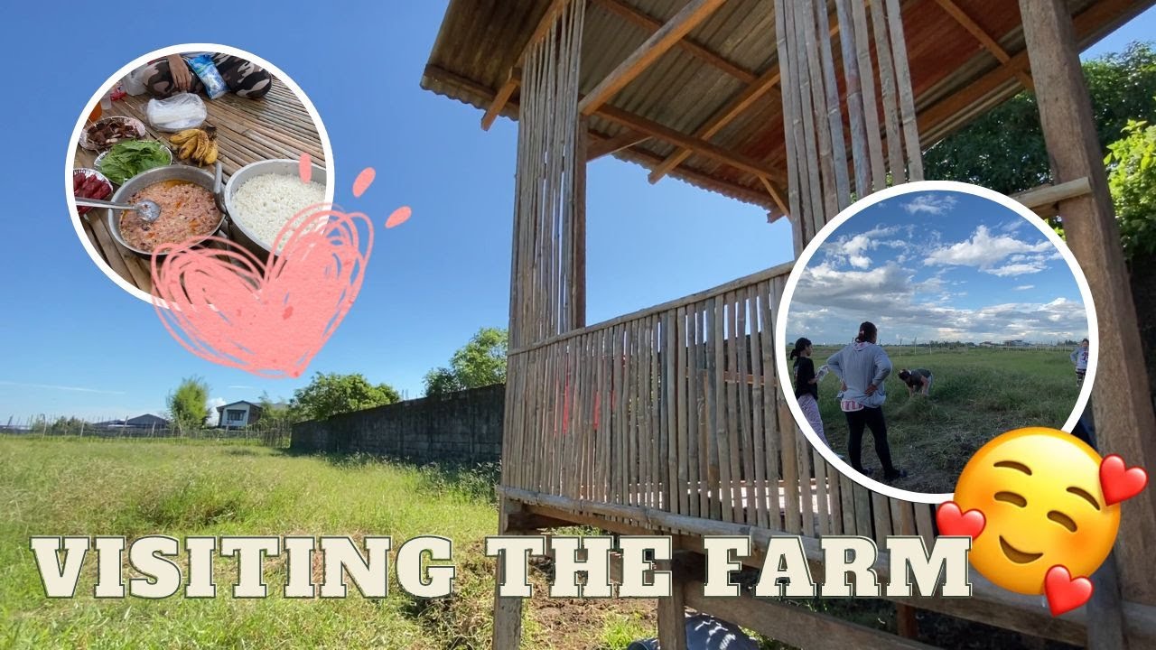 VISITING THE FARM | DR-S FAMILY VLOGS - YouTube