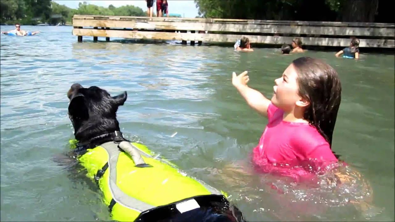 MY OBEDIENT DOG - Swimming With Kids - YouTube