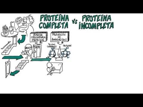 Complete Protein VS Incomplete Protein - YouTube