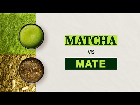 Matcha or Mate - Which One Should You Drink?