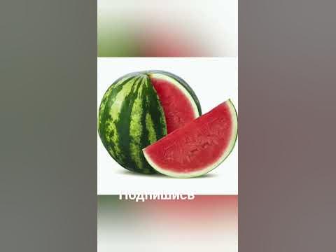 #арбуз #bus #автобус #тюмень #video #youtubeshorts #подпишись # ...