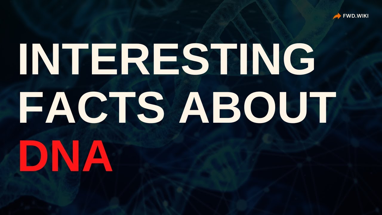 Interesting Facts on DNA - YouTube