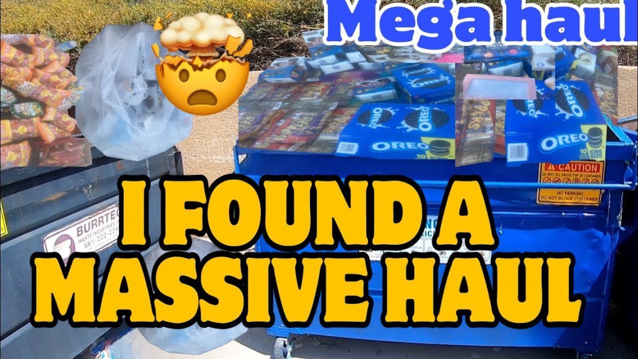 I FOUND THIS MASSIVE HAUL LOADED WITH GOODIES WHILE DUMPSTER DIVING ...
